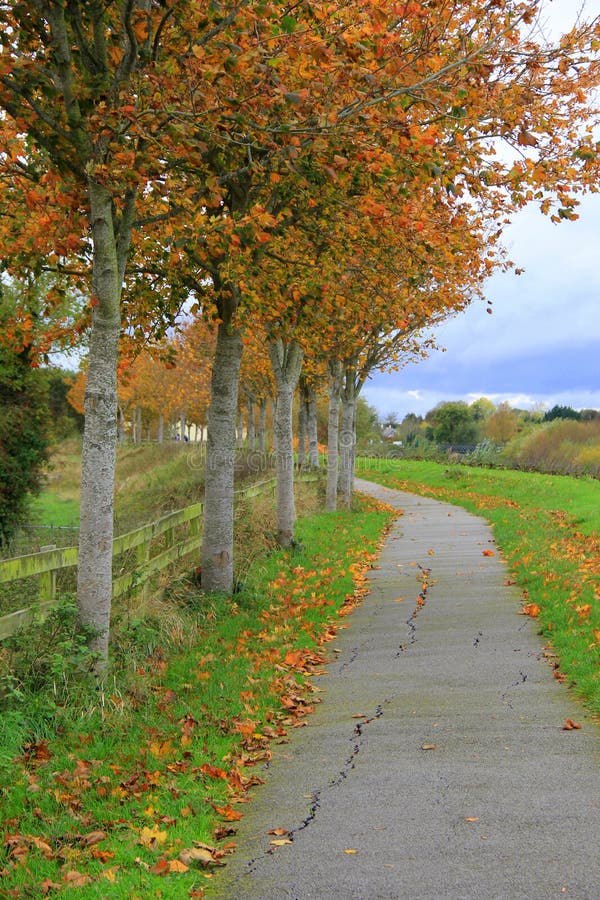 Beautiful Fall Walk in Peaceful Setting Stock Photo - Image of outdoor ...
