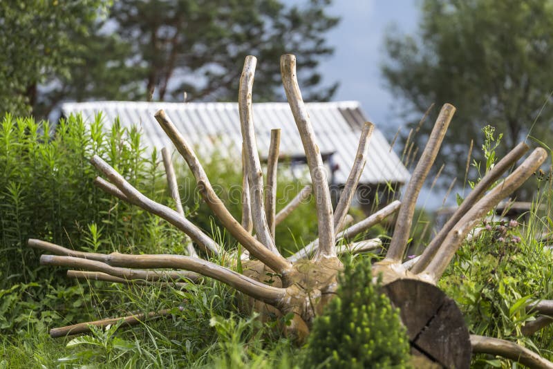 A Beautiful Fallen Tree without a Bark Stock Photo - Image of summer ...