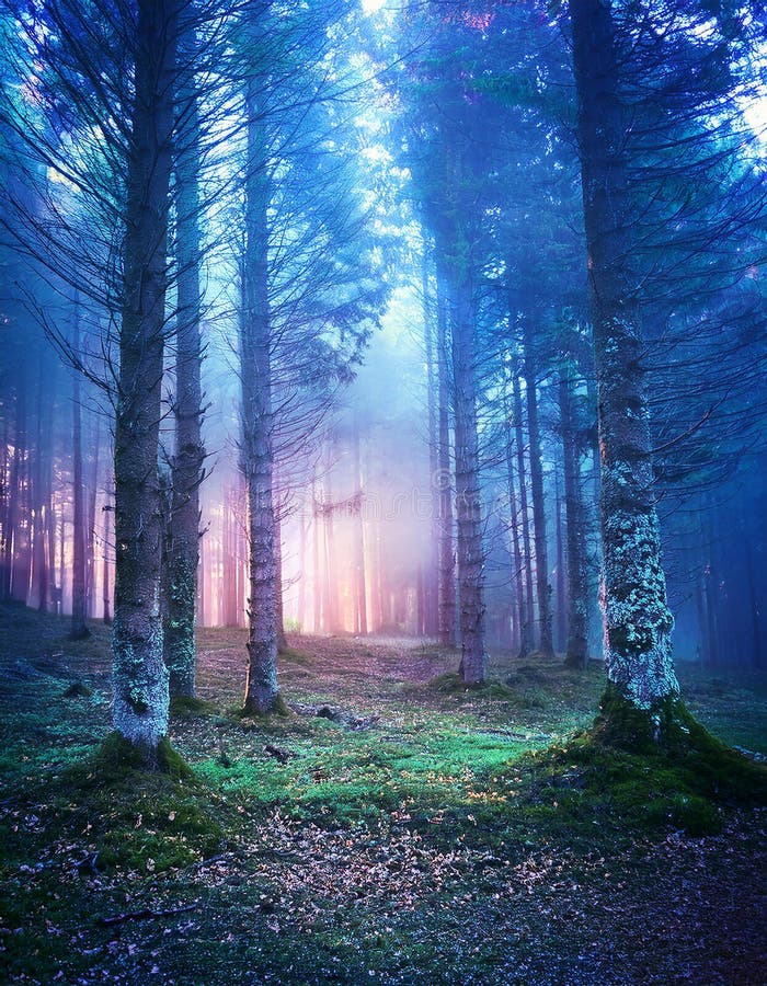 Beautiful Fantasy Magic Forest Background Stock Illustration ...