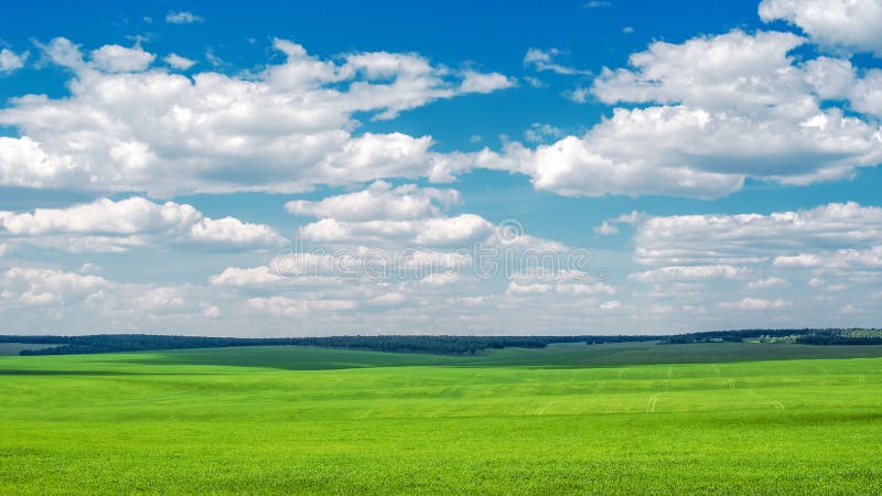 Beautiful Farm Field. the Picture Aspect Ratio is 16:9 Stock Photo ...