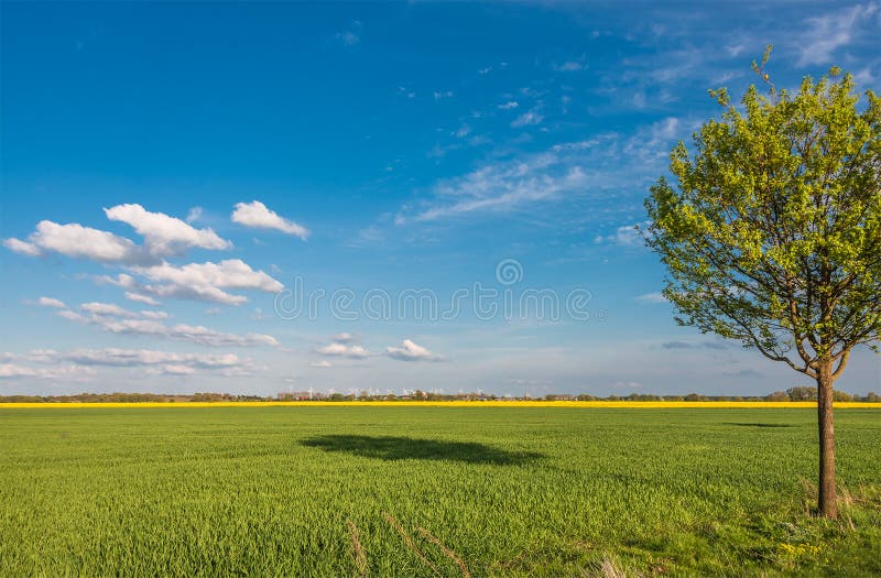 Beautiful Farm Landscape in Late Spring in Germany Stock Photo - Image ...