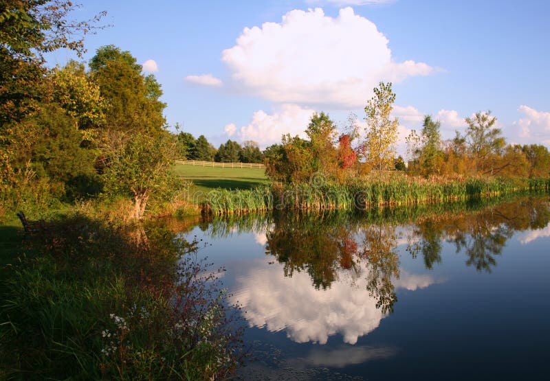 Beautiful Farm Pond Scene stock photo. Image of leaves - 3330886