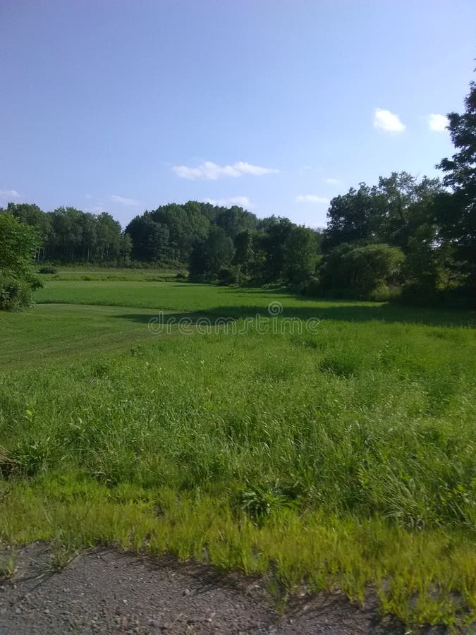 Farm life stock image. Image of life, setting, beautiful - 123419437