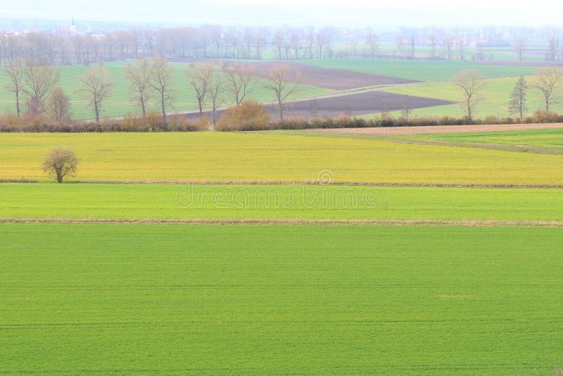 Beautiful Farming Landscape - Green Fields and Trees Stock Photo ...
