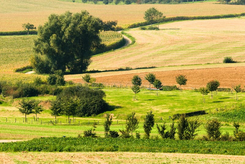 Beautiful Farmland Landscape Stock Photo - Image of pasture, scenics ...