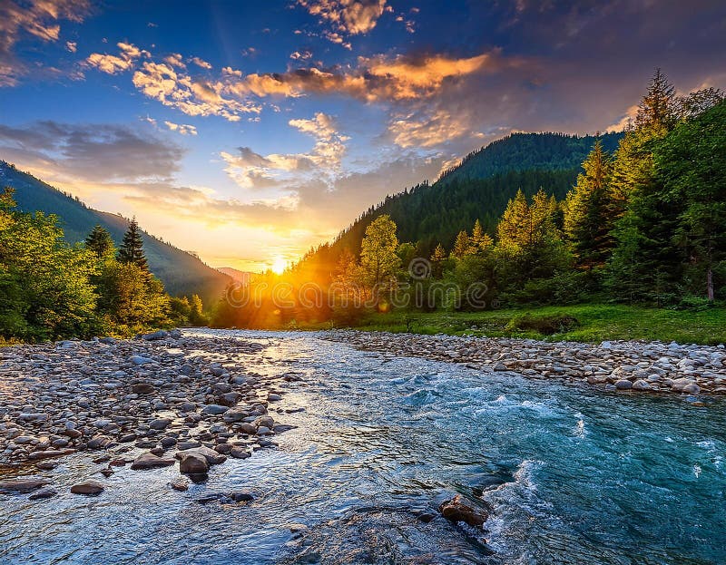 Beautiful Fast River Flows in Mountain Forest at Sunrise Stock ...