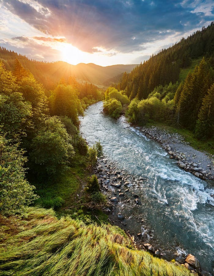 Beautiful Fast River Flows in Mountain Forest at Sunrise Stock ...