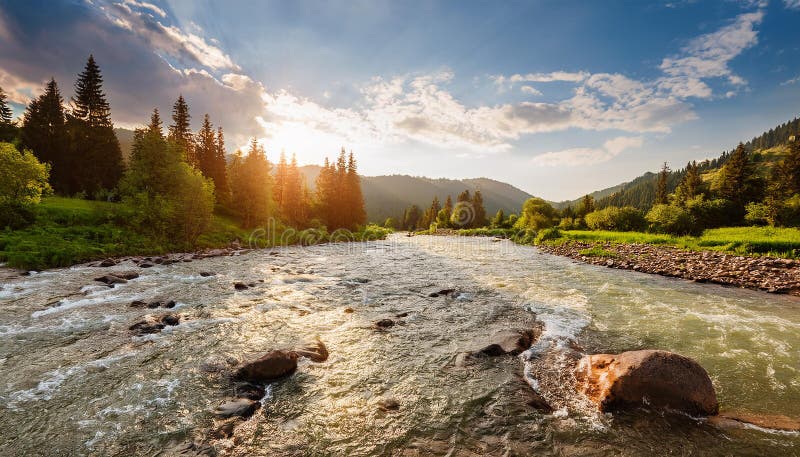 Beautiful Fast River Flows in Mountain Forest at Sunrise Stock ...