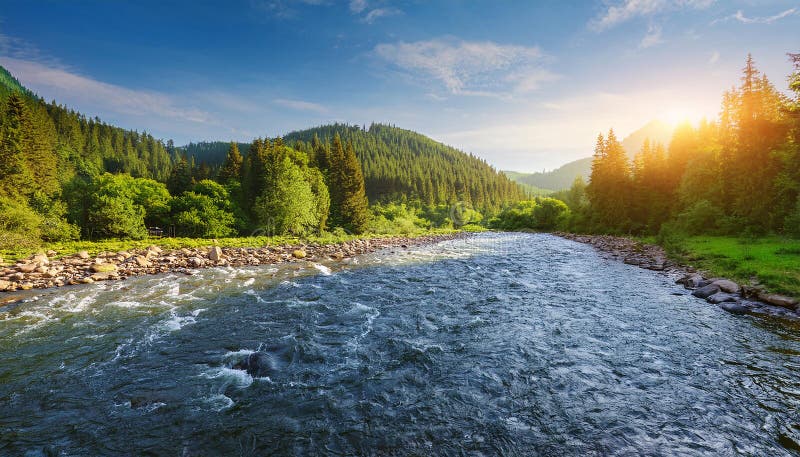 Beautiful Fast River Flows in Mountain Forest at Sunrise Stock ...