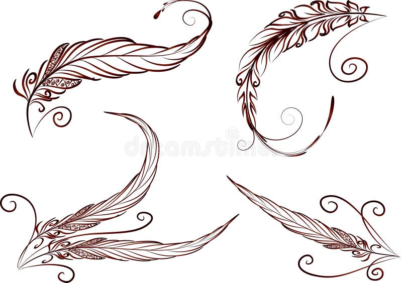 Beautiful feather set stock illustration. Illustration of border - 79276720