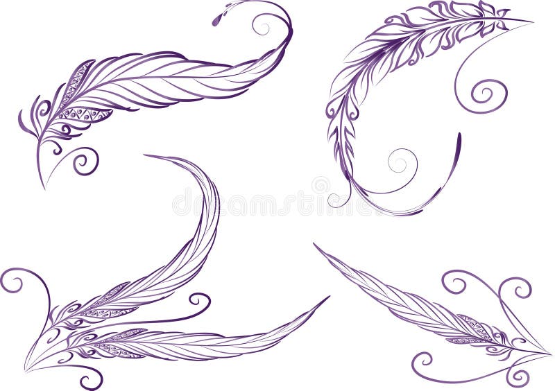 Beautiful feather set stock vector. Illustration of pattern - 79276728
