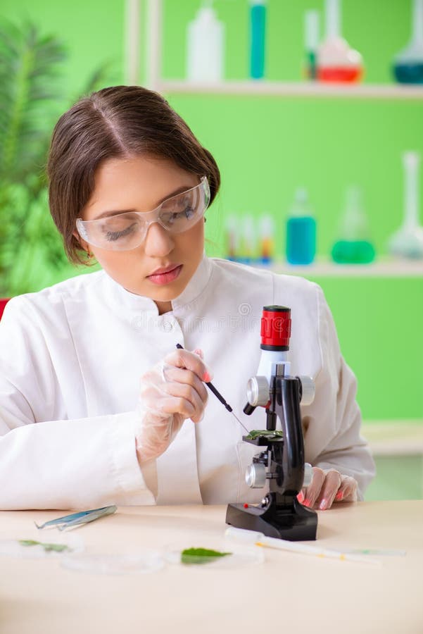 The Beautiful Female Biotechnology Scientist Chemist Working in Lab ...