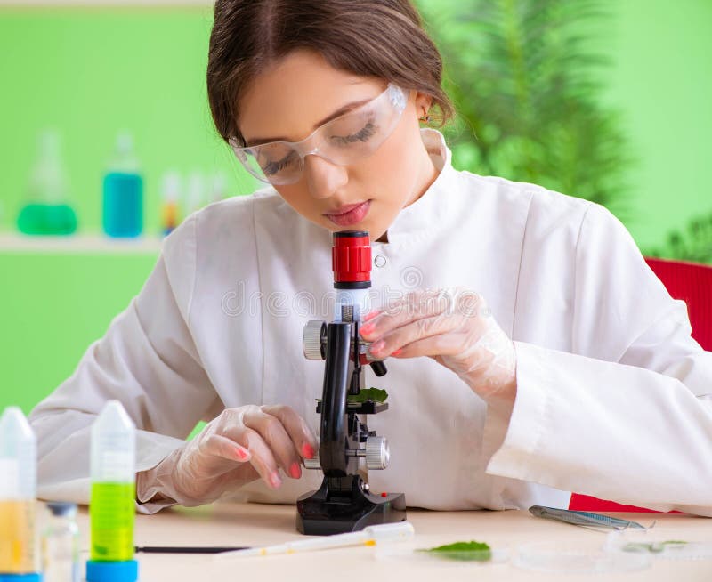 Beautiful Female Biotechnology Scientist Chemist Working in Lab Stock ...
