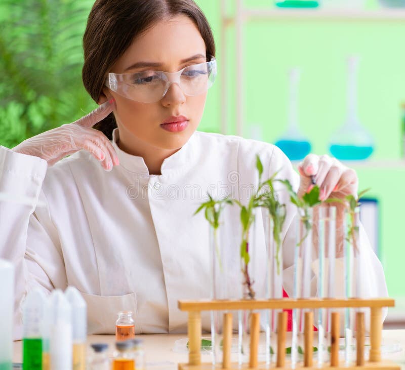 Beautiful Female Biotechnology Scientist Chemist Working in Lab Stock ...