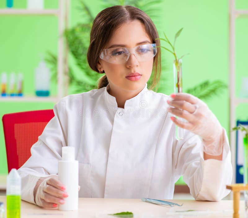 Beautiful Female Biotechnology Scientist Chemist Working in Lab Stock ...