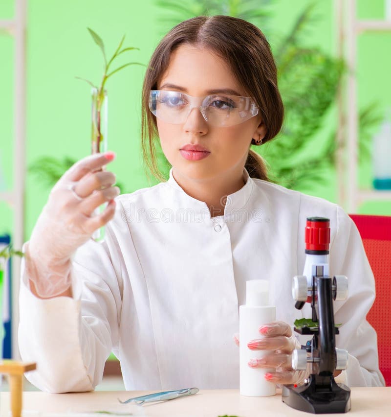 Beautiful Female Biotechnology Scientist Chemist Working in Lab Stock ...