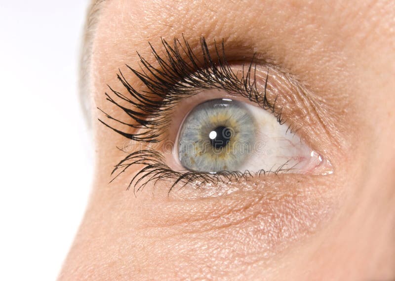 Beautiful female eye stock image. Image of attractive - 14943517