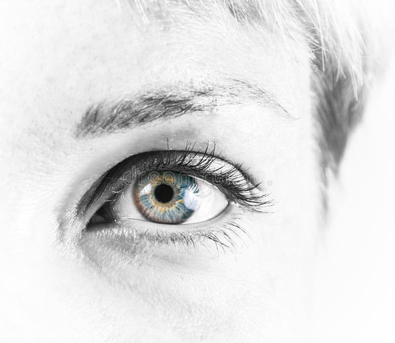 Beautiful female eye stock photo. Image of eyeliner, blue - 73454200
