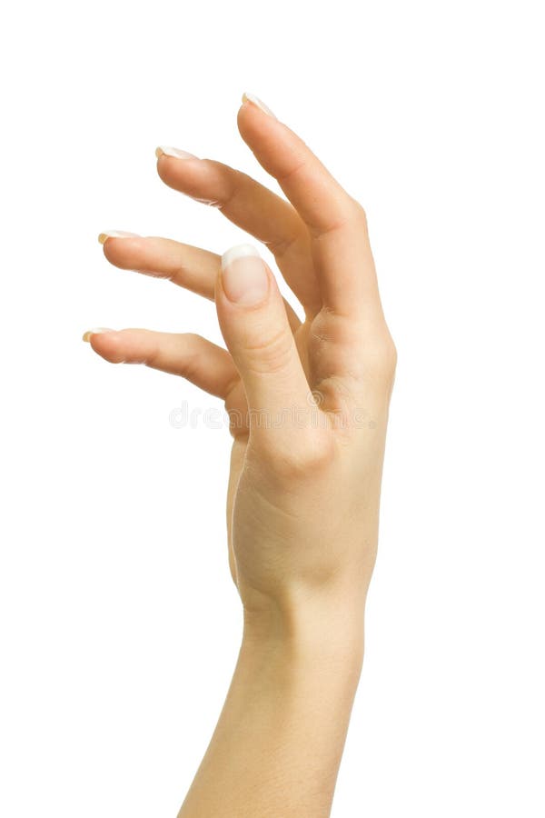 One Elegant Female Hand with Beauty Fingers Stock Image - Image of ...