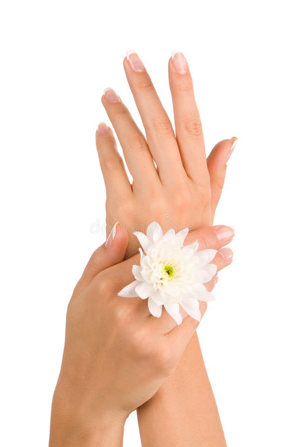 977,937 Beautiful Female Hands Stock Photos - Free & Royalty-Free Stock ...