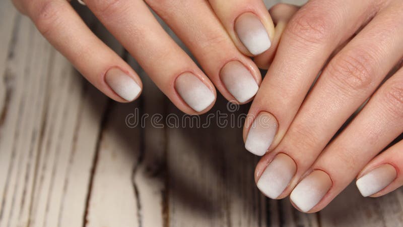 Beautiful Female Hands. stock photo. Image of care, hand - 107088830