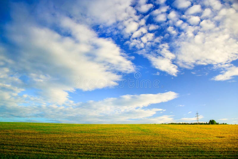 Beautiful Field and Blue Sky. Stock Image - Image of plant, landscape ...