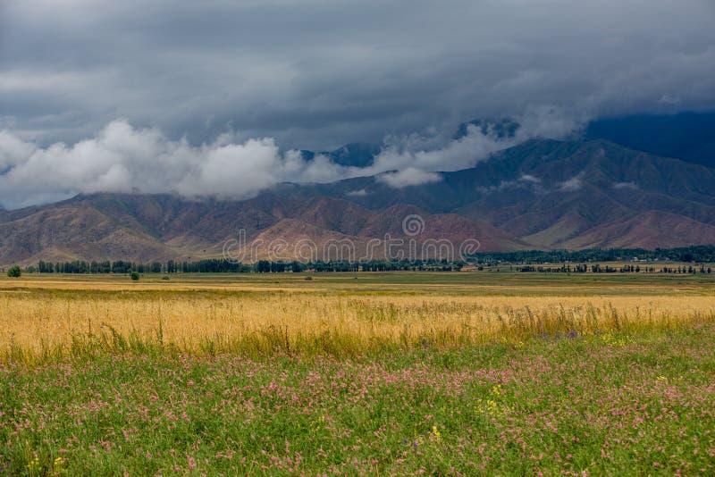 Beautiful Field of Different Colors Stock Photo - Image of romania ...