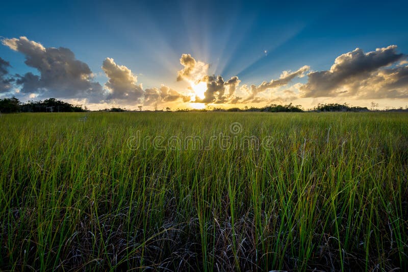 Beautiful Field on the Dramatic Sunset Stock Photo - Image of ...