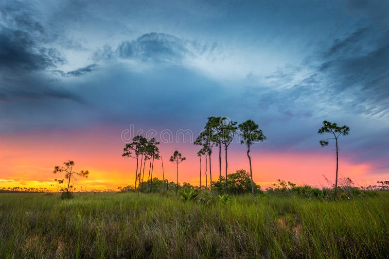 Beautiful Field on the Dramatic Sunset Stock Photo - Image of romantic ...