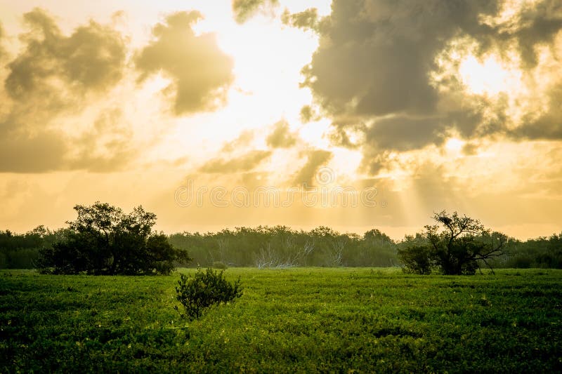 Beautiful Field on the Dramatic Sunset Stock Image - Image of dusk ...