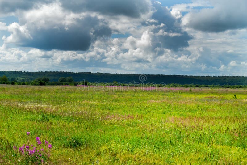 Beautiful Field Landscape, Grass and Dramatic Clouds. Stock Photo ...