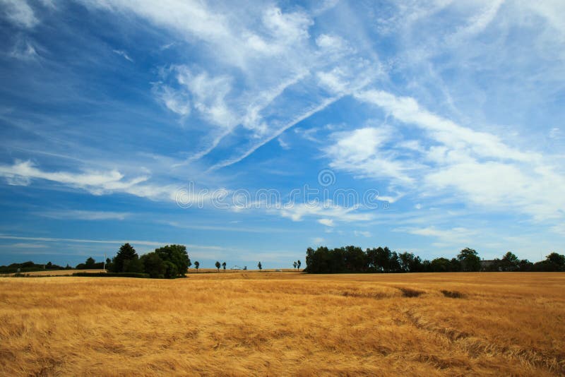 Beautiful field and meadow stock photo. Image of cloud - 74306306