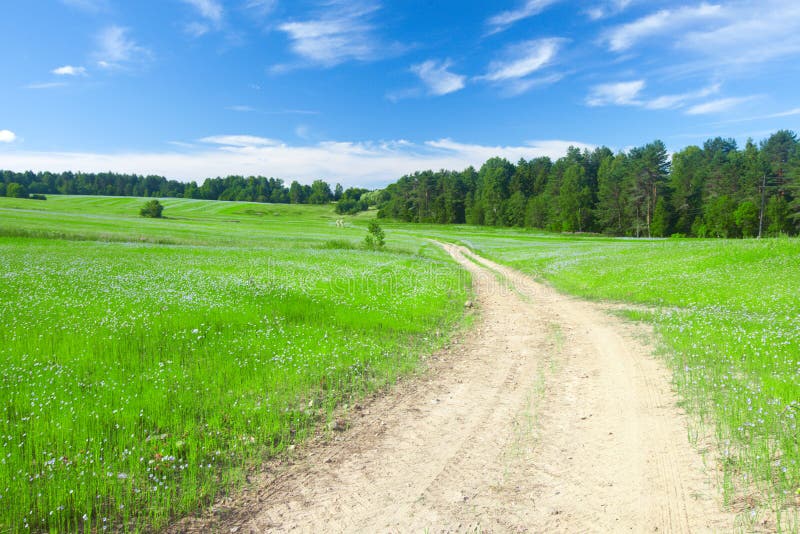 Beautiful field and road stock image. Image of white - 88508261