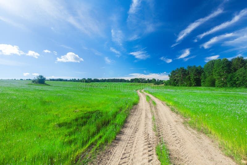 Beautiful field and road stock image. Image of dirt, horizon - 78652255