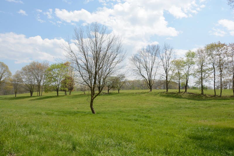 Beautiful field scene stock photo. Image of scene, shows - 71337954