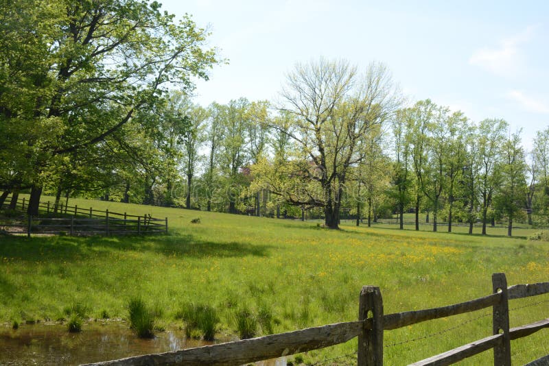 Beautiful field scene stock image. Image of park, summer - 71338049