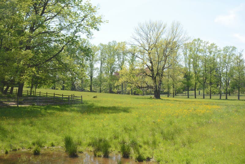 Beautiful field scene stock photo. Image of springtime - 71338058