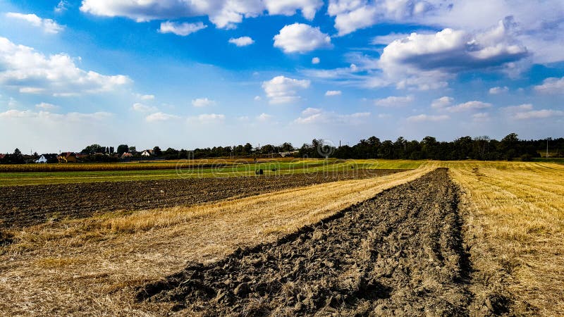 Beautiful field stock photo. Image of view, field, simple - 92167680