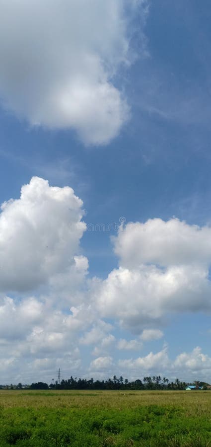 Beautiful Fields and Big White Cloud Stock Photo - Image of cloud ...