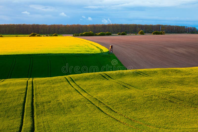 Beautiful Fields with Hunting Cabin Stock Photo - Image of blue ...