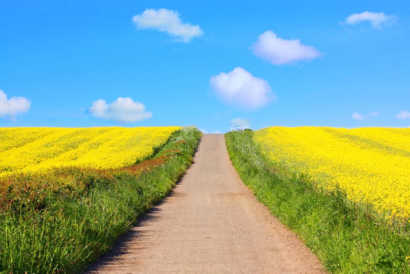 Beautiful Fields of in Springtime Stock Image - Image of rural, person ...