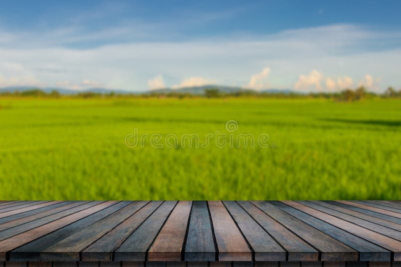 Empty Wooden Table with Rice Field and Blue Sky Stock Image - Image of ...