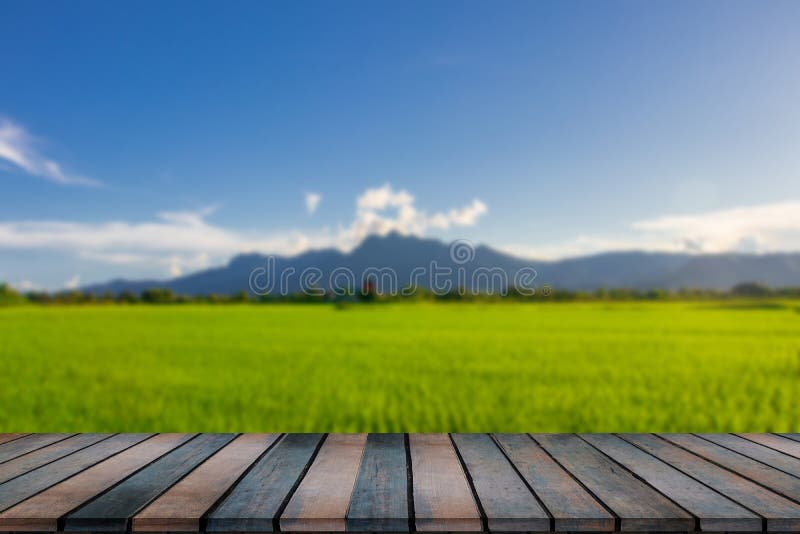 Empty Wooden Table with Rice Field and Blue Sky Stock Image - Image of ...