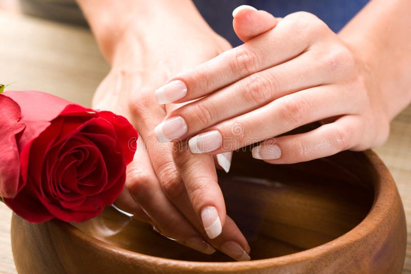 Beautiful fingers stock photo. Image of human, rose, body - 6944044