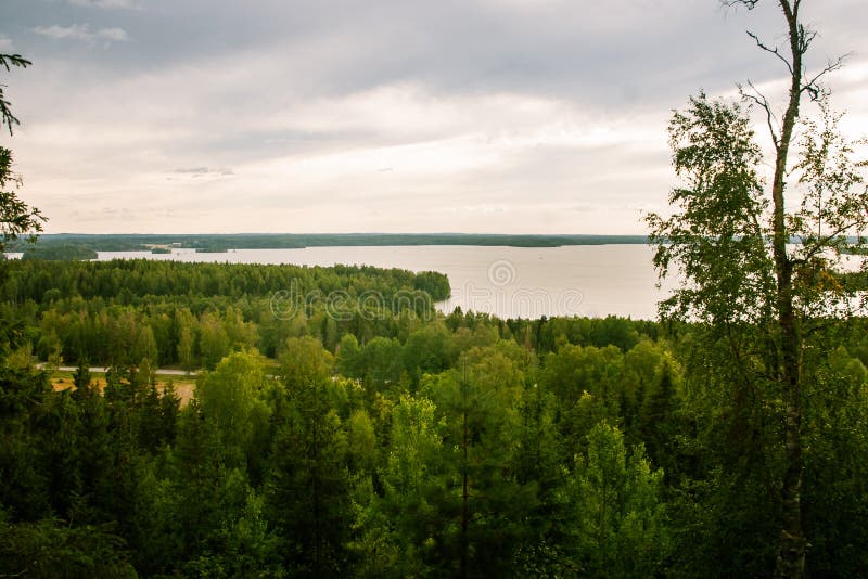 A Beautiful Finnish Forest Landscape Stock Image - Image of idyllic ...