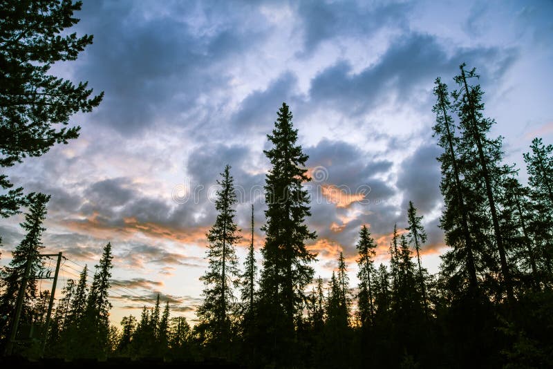 A Beautiful Finnish Forest Landscape Stock Photo - Image of finnish ...