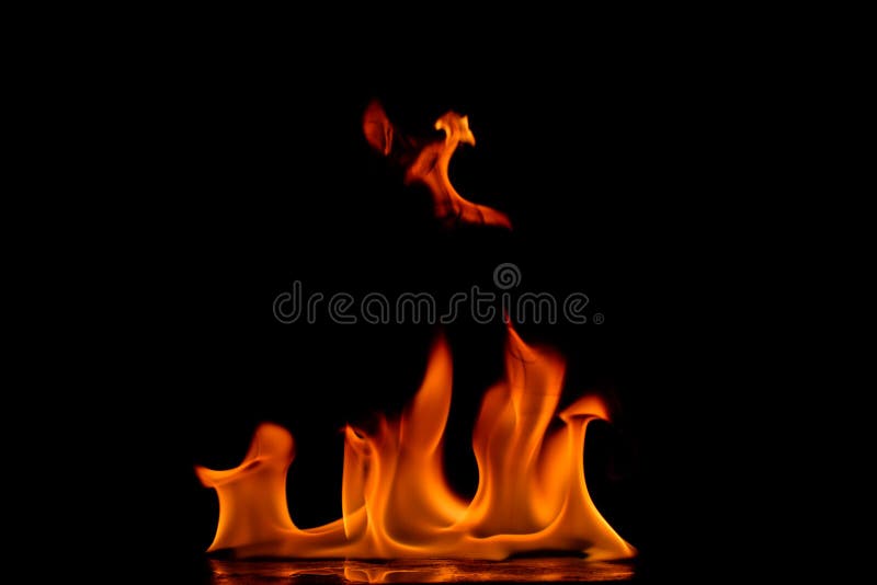 Beautiful fire flames stock photo. Image of motion, abstract - 89478854