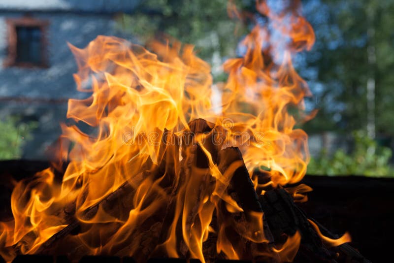 Beautiful Fire with Flames Charred Wood Stock Image - Image of ignite ...