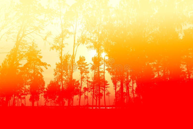 Beautiful fire forest stock photo. Image of disaster - 79268266
