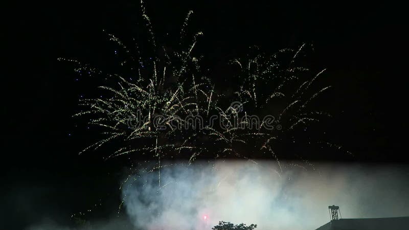 Beautiful Firework Motion in Dark Night Sky. Stock Footage - Video of ...